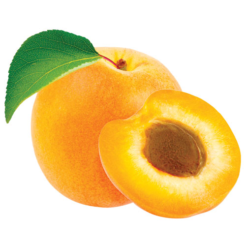 Marhuľa - BIO Farma Beckov